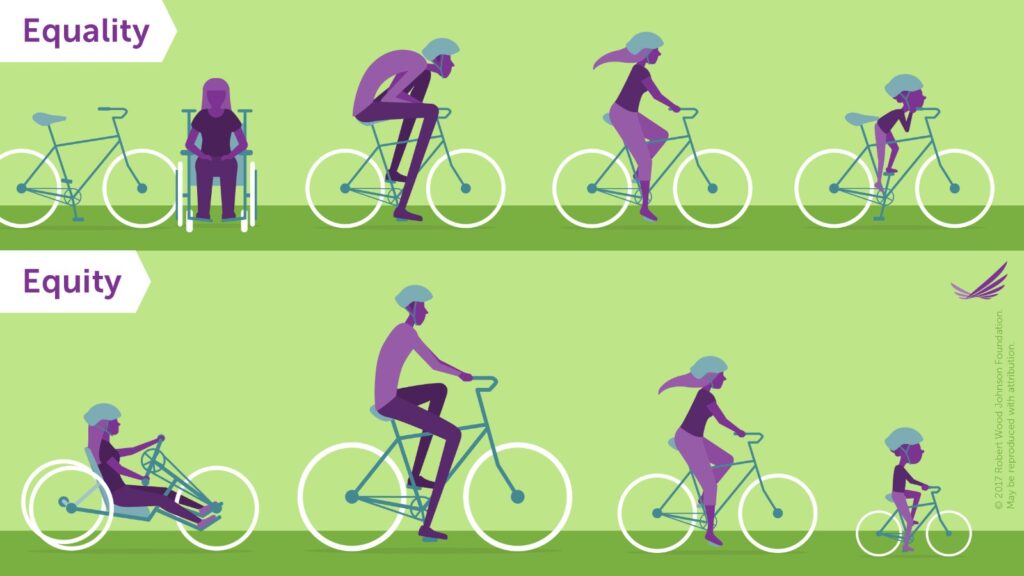 Top 5 Equity graphics - Supply Chain Sustainability School Limited
